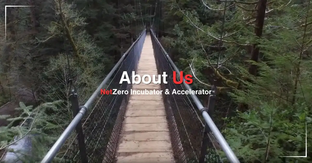 About Carbon Footprint - Sustainable Business Solutions | NETZERO ...