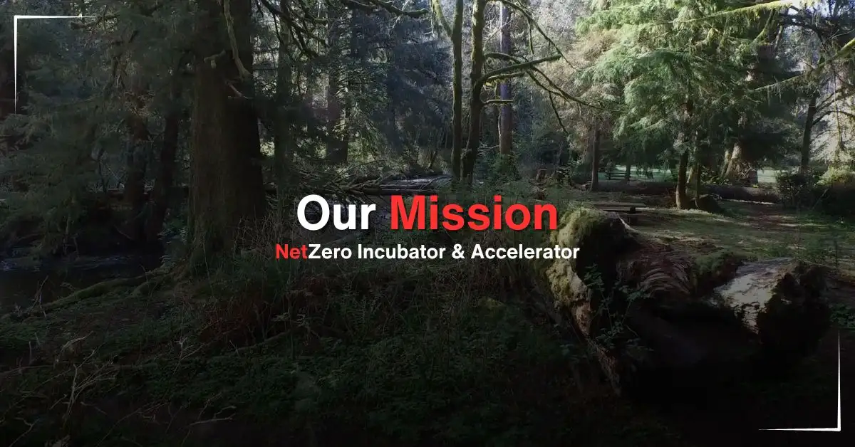 Discover Our Mission to Reduce Carbon Footprints | NetZero Accelerator